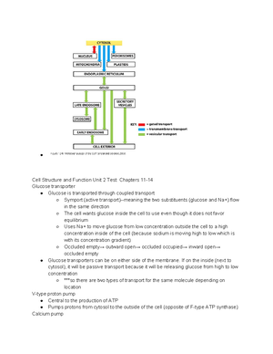 Cell Structure and Function Unit 3 Study Guide - Unit 3 Cell signaling ...