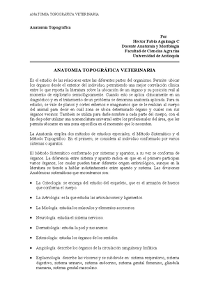 Irrigación e Inervación del esofago - Irrigación del Esófago En el ...