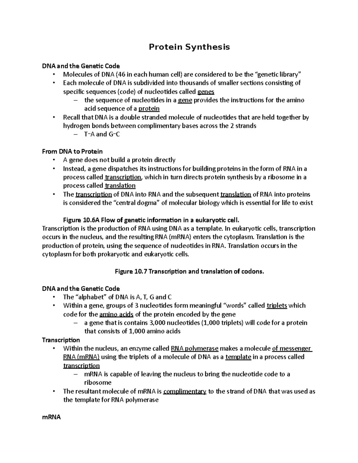 Protein Synthesis - Protein Synthesis DNA and the Genetic Code ...