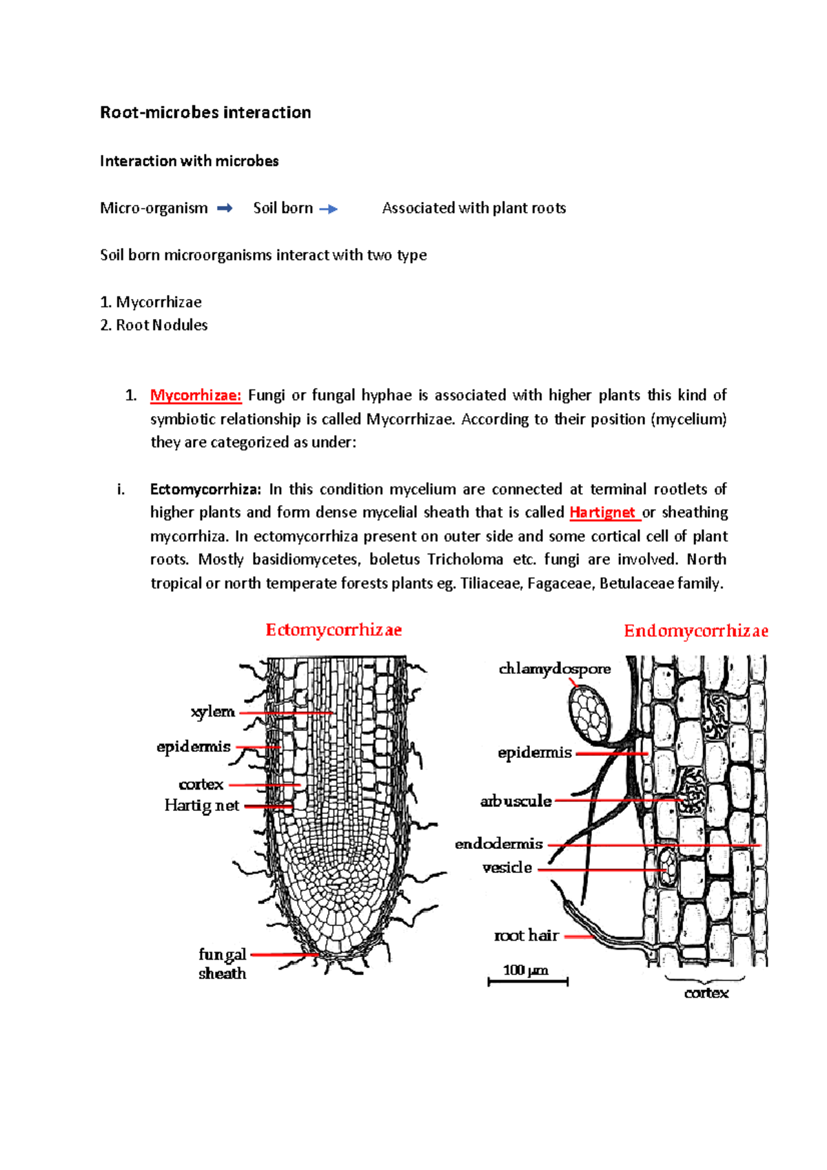 Root-Microb interaction - Root-microbes interaction Interaction with ...