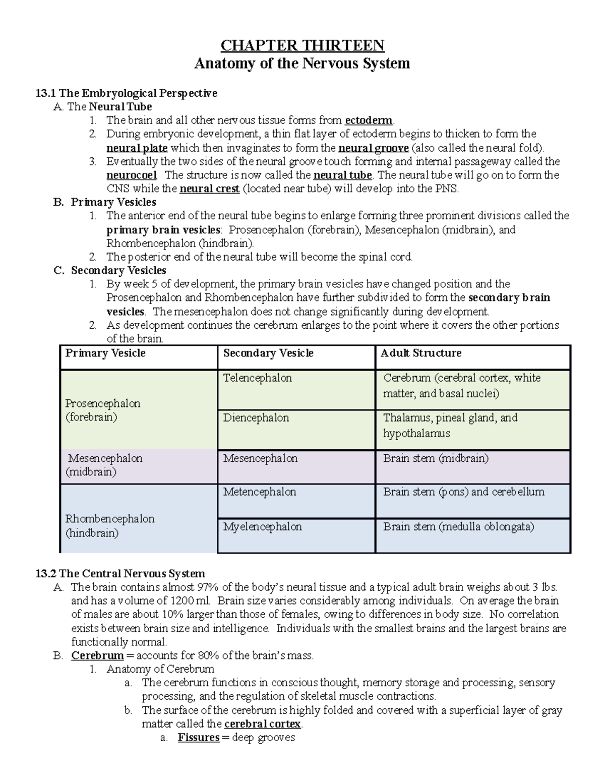 Ch. 13- anatomy of nervous system - CHAPTER THIRTEEN Anatomy of the ...