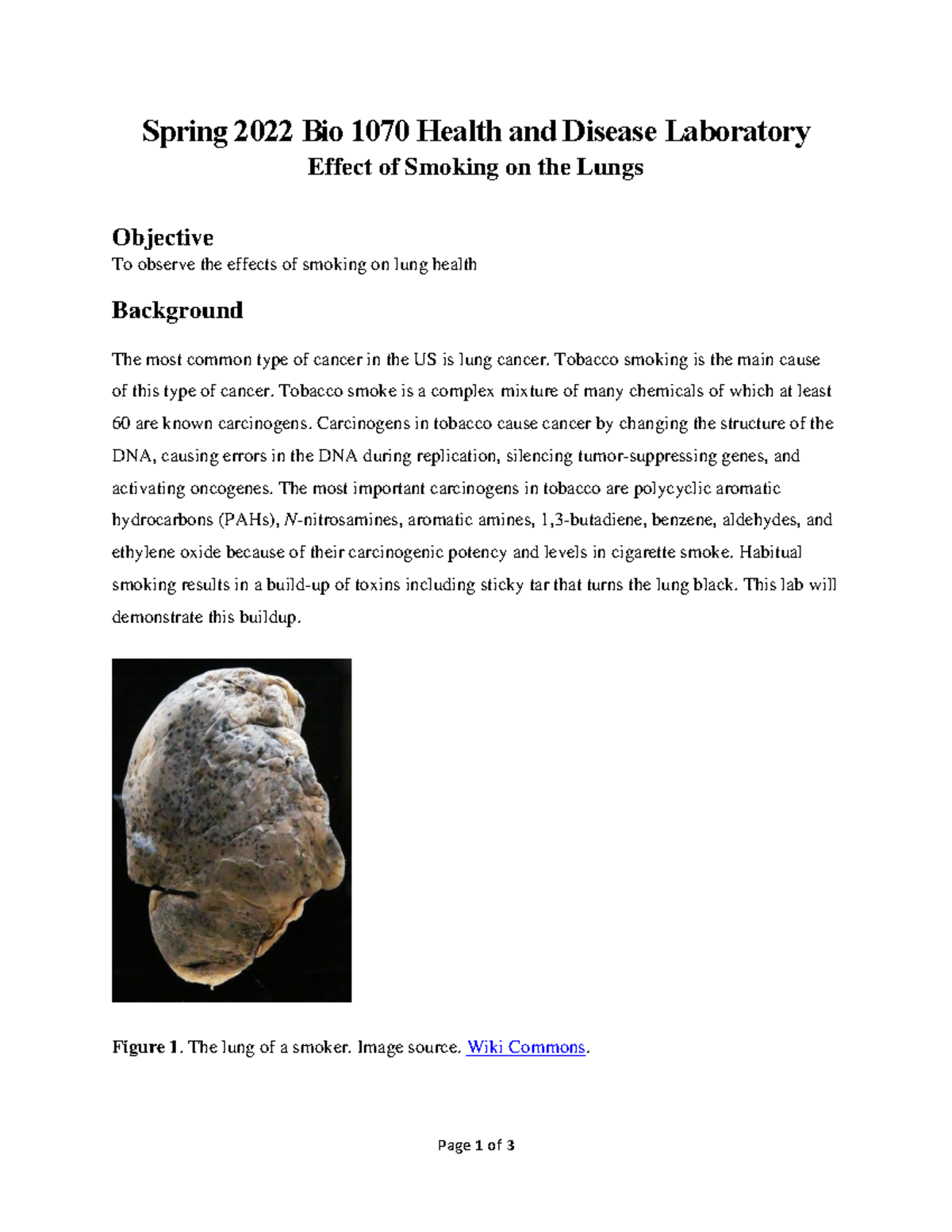 Effect of Smoking Lab - Page 1 of 3 Spring 2022 Bio 1070 Health and ...