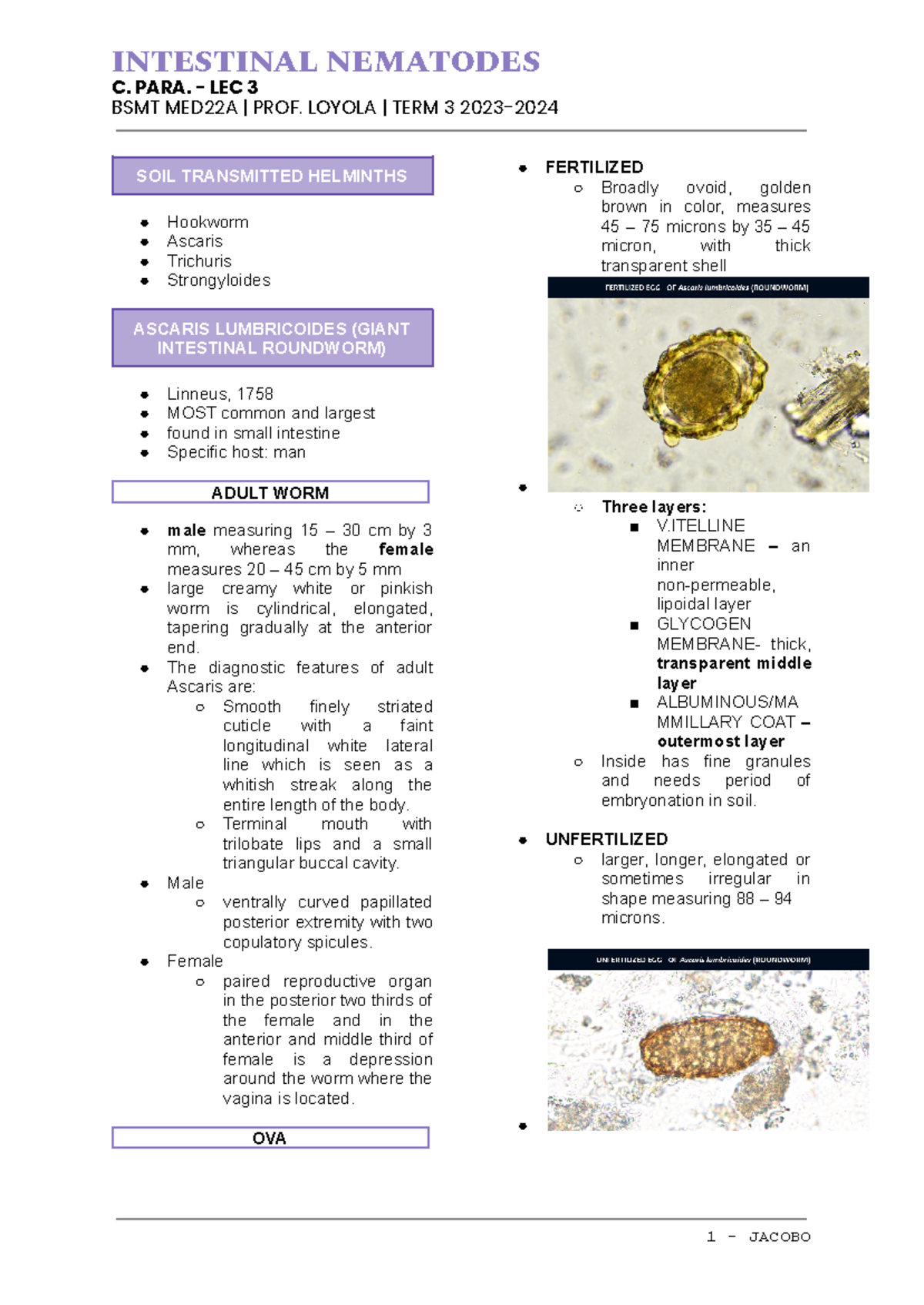 INTESTINAL NEMATODES - C. PARA. - LEC 3 BSMT MED22A | PROF. LOYOLA ...