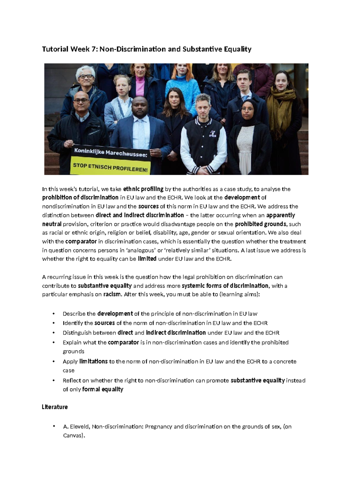 Fundamental rights WG7 - Tutorial Week 7: Non-Discrimination and ...