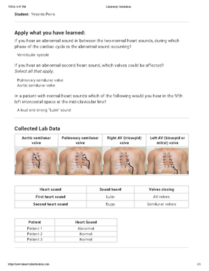 [Solved] Give examples that demonstrate the difference between SNS and PNS - Human Physiology ...