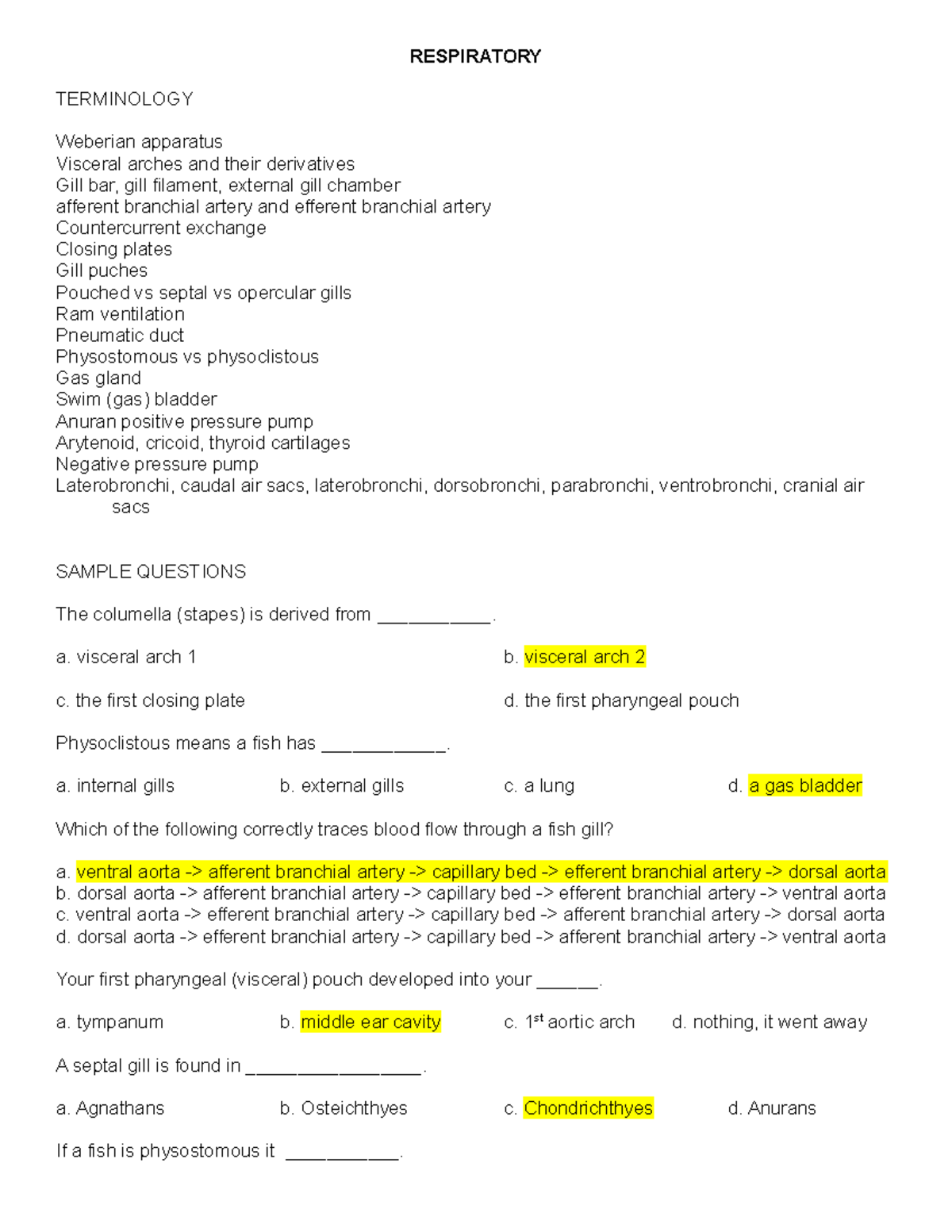 Respiratory - Exam 3 questions and answers - RESPIRATORY TERMINOLOGY ...