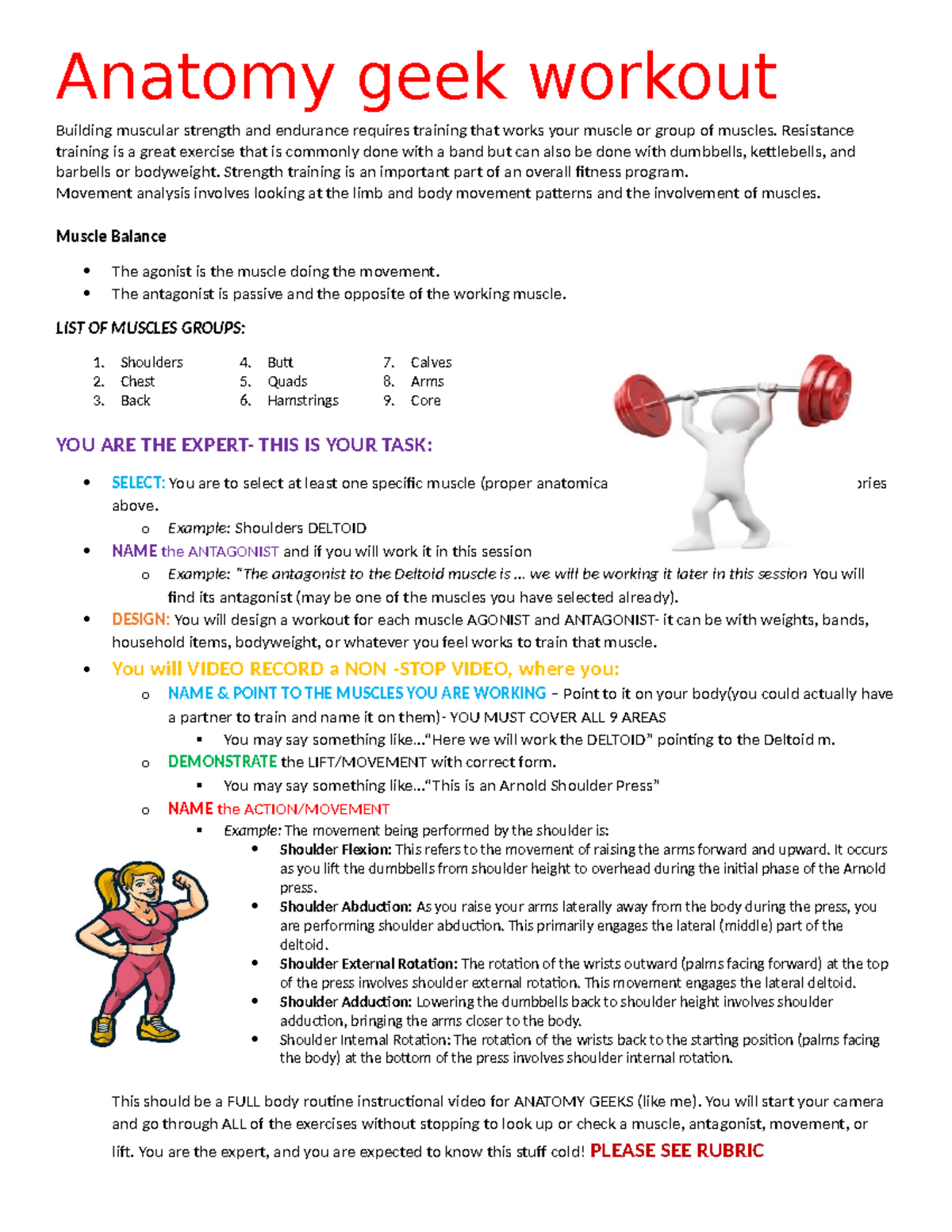 Anatomy Geek Workout Video Information Detailed - Building muscular ...