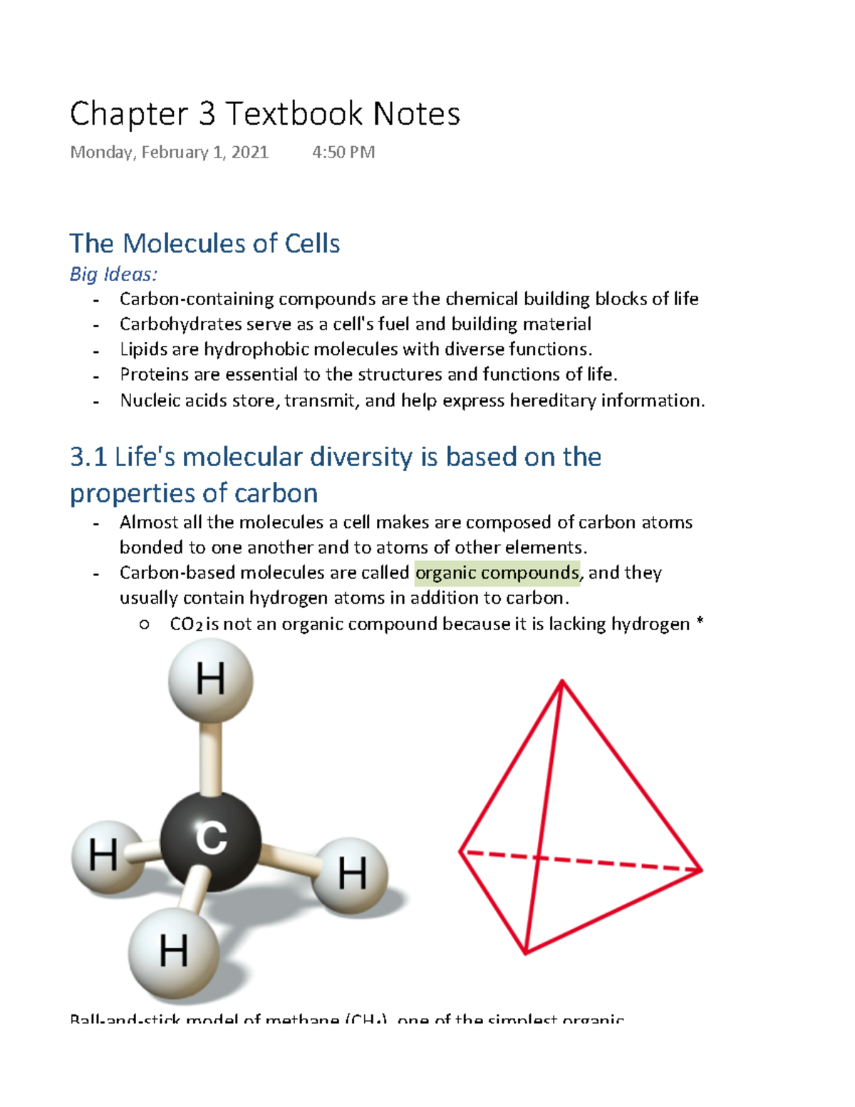 Chapter 3 Textbook Notes BIO121 - The Molecules of Cells Big Ideas ...