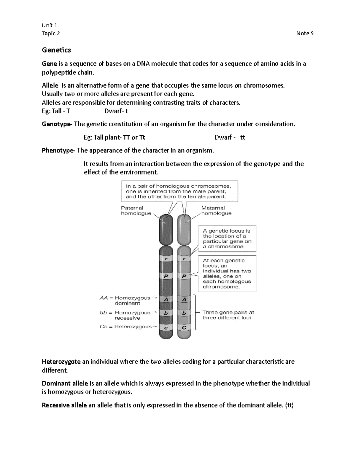 Genetics - Alevel biology notes - Topic 2 Note 9 Genetics Gene is a ...