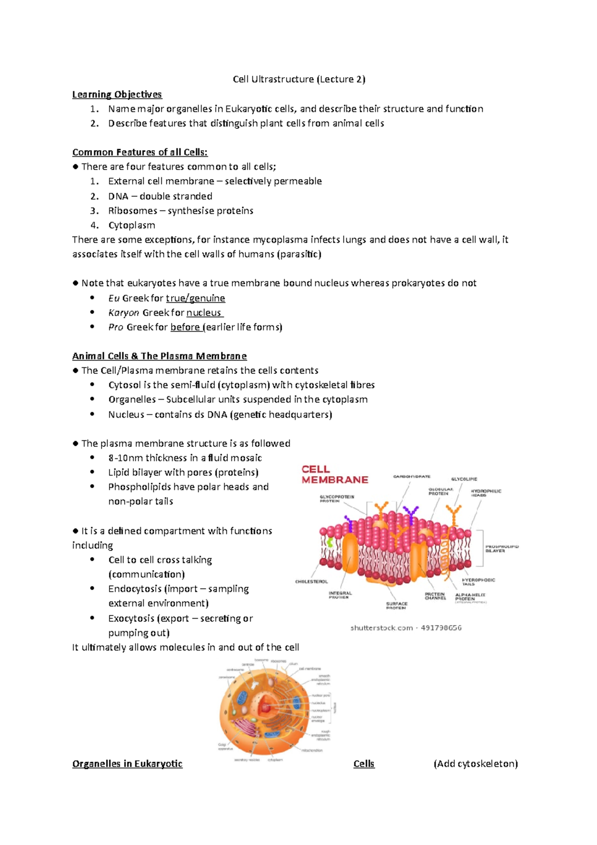 Lecture 2 - Cell Ultrastructure - Cell Ultrastructure (Lecture 2 ...