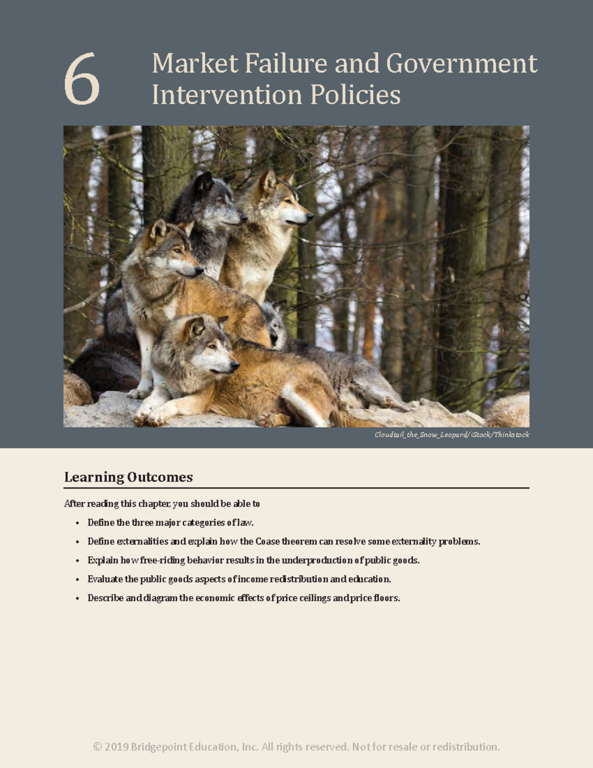 06CH Microeconomics Amacher - 6 Market Failure and Government ...