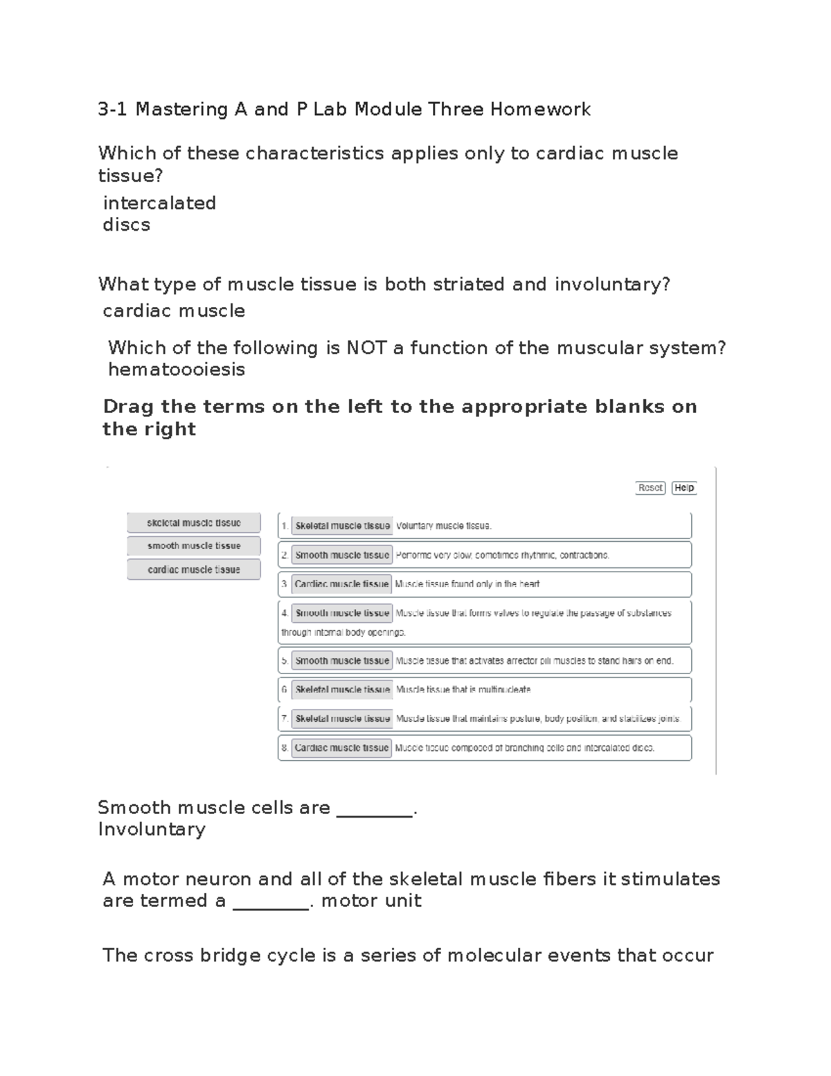 3-1 Mastering A and P Lab Module Three Homework - Involuntary A motor neuron and all of the ...