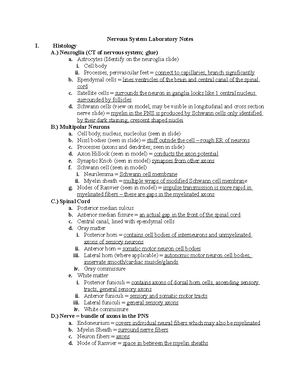 Nervous System Study Guide - NERVOUS SYSTEM STUDY GUIDE FOR MIDTERM 4 ...