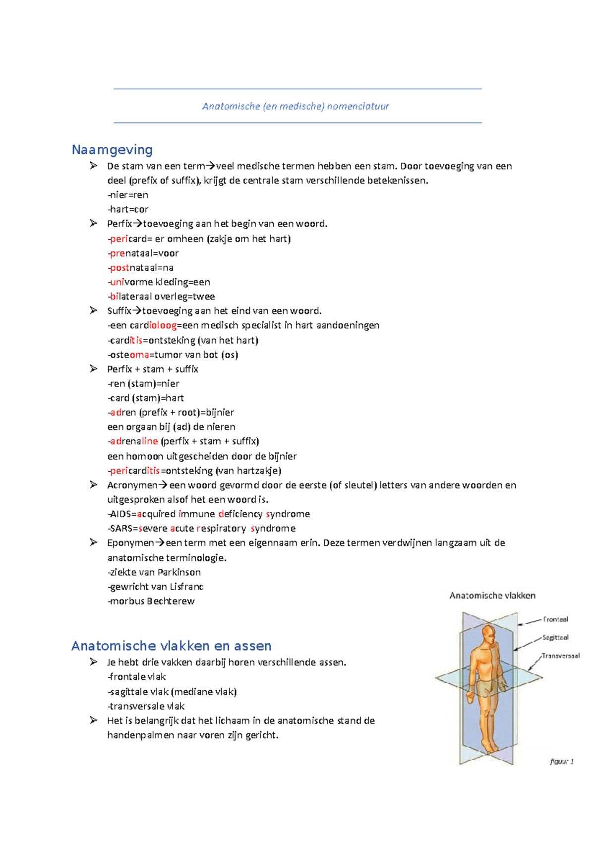 Anatomische (en medische) nomenclatuur - Anatomische (en medische ...
