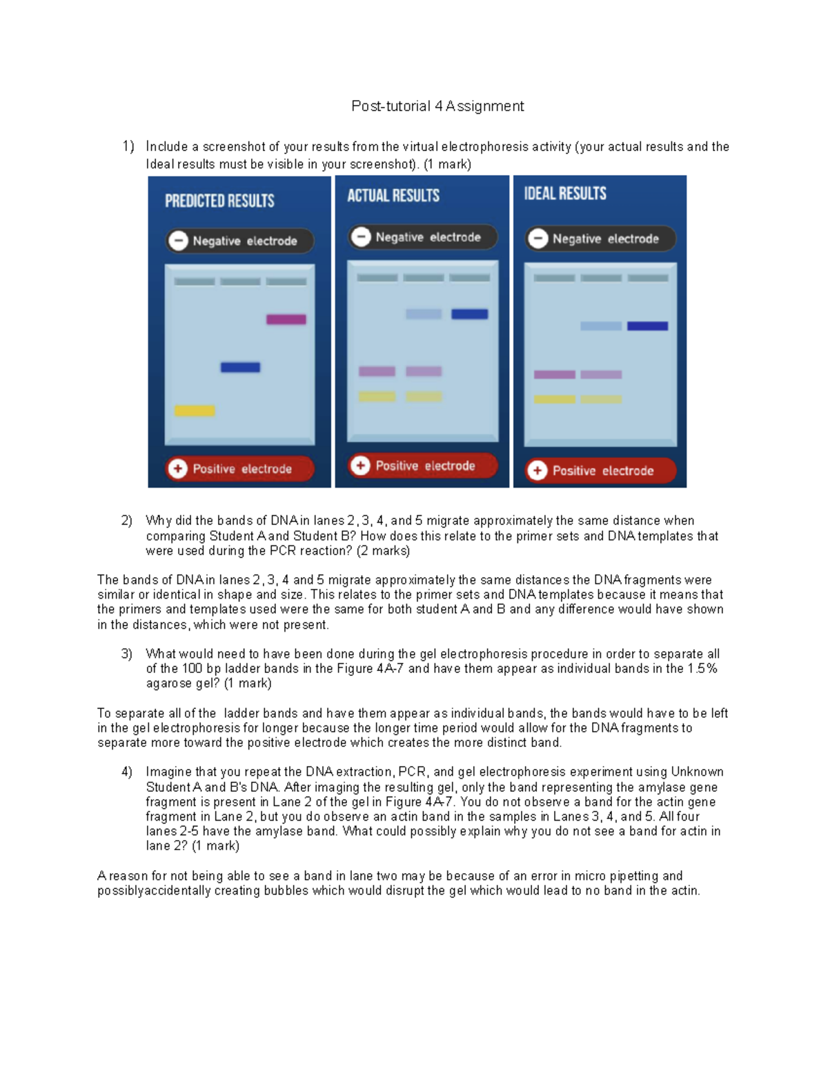 Tutorial 4 Assignment Post Tutorial 4 Assignment 1 Include A Screenshot Of Your Results From 