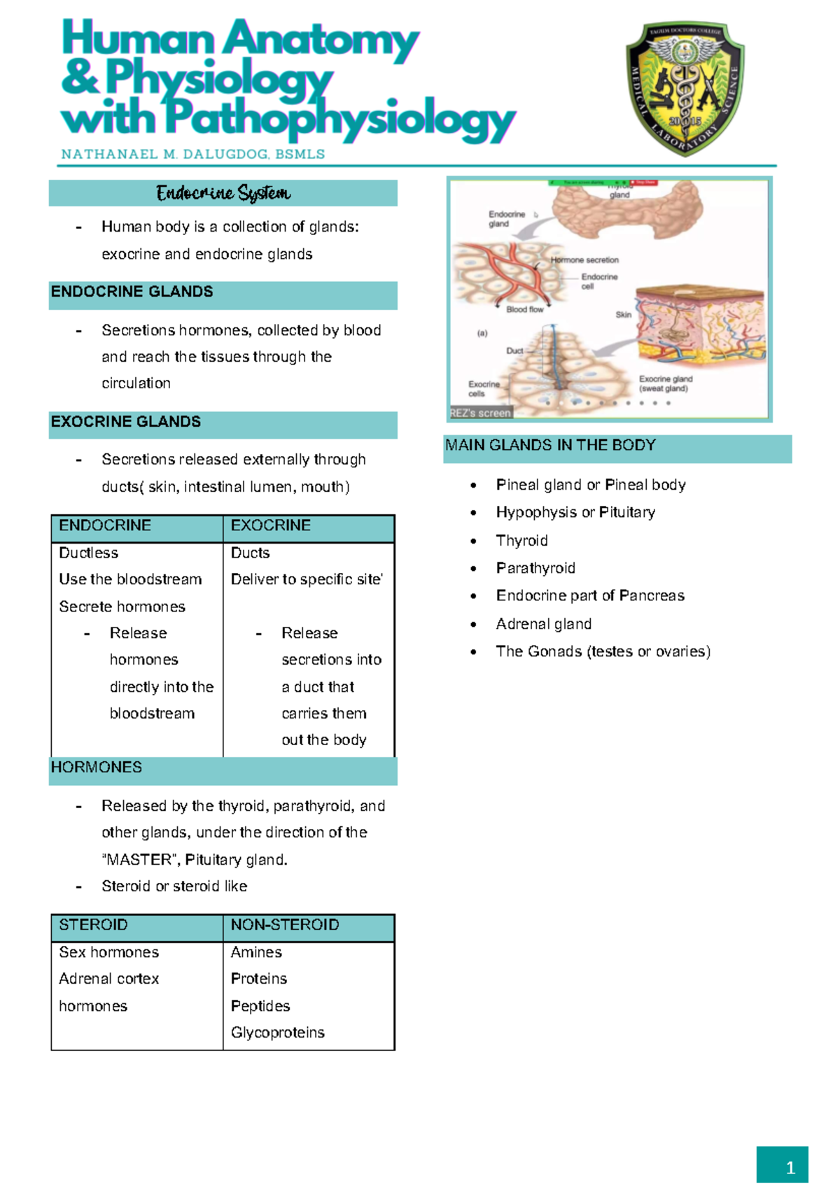 ANATOMY AND PHYSIOLOGY WITH PATHOPHYSIOLOGY- Endocrine System AND ...