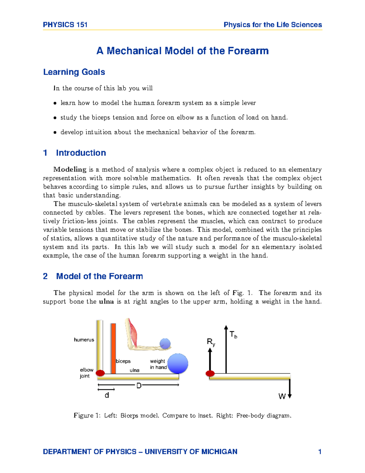 Lab 5 - A Mechanical Model of the Forearm - A Mechanical Model of the ...