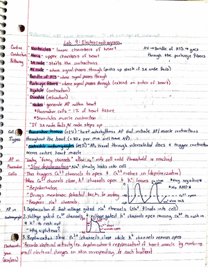 Ap 4 - James haugen - BIO 246 - Studocu