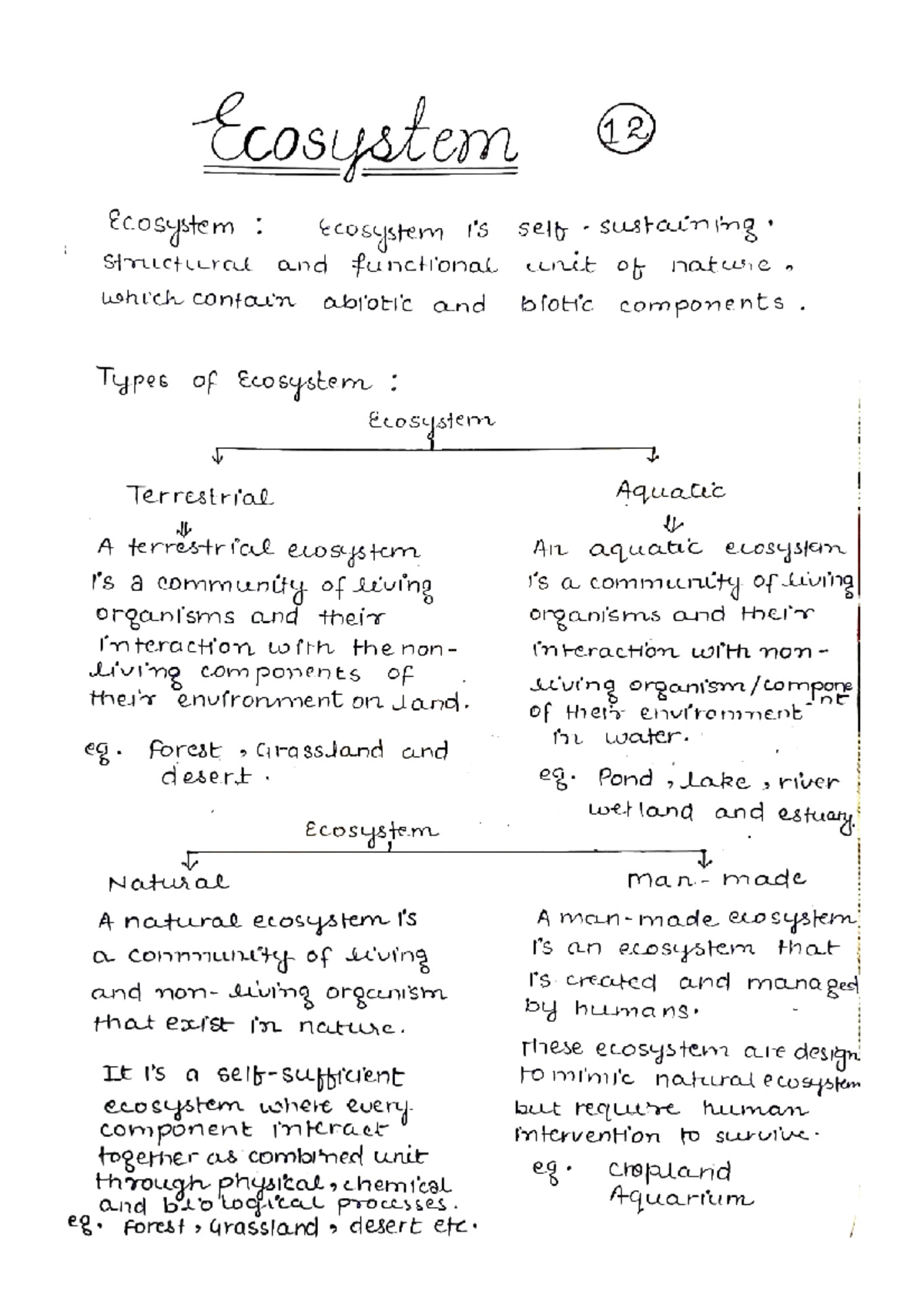 Ecosystem class 12 notes - Ecosystem 12 Ecosystem Ecosystem is self ...
