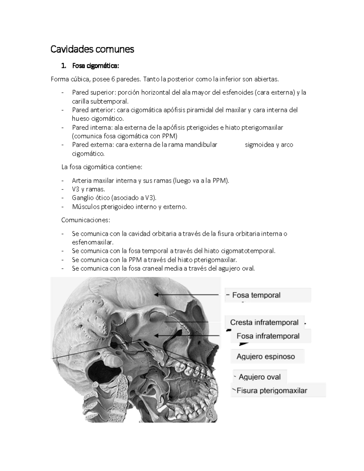 Cavidades comunes - Warning: TT: undefined function: 32 Cavidades ...