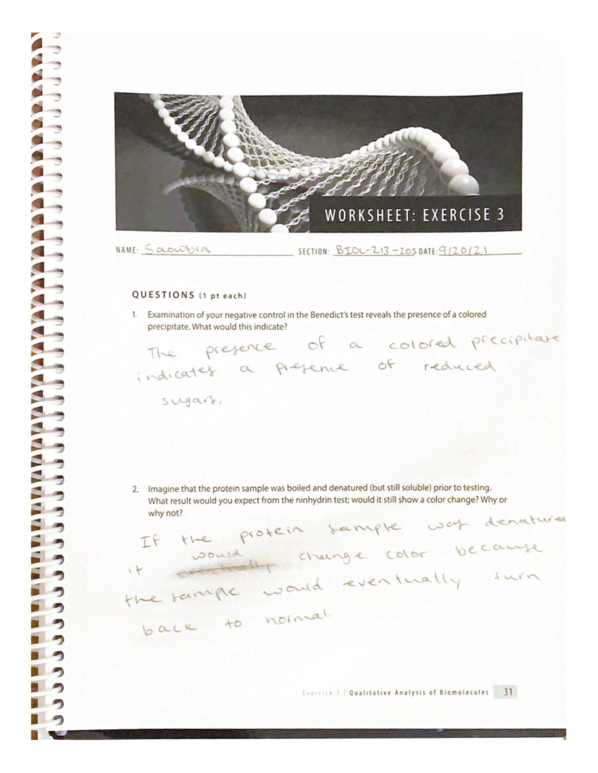 Worksheet Exercise 3 - WORKSHEET: EXERCISE 3 NAME Saowbia SECTION DATE ...