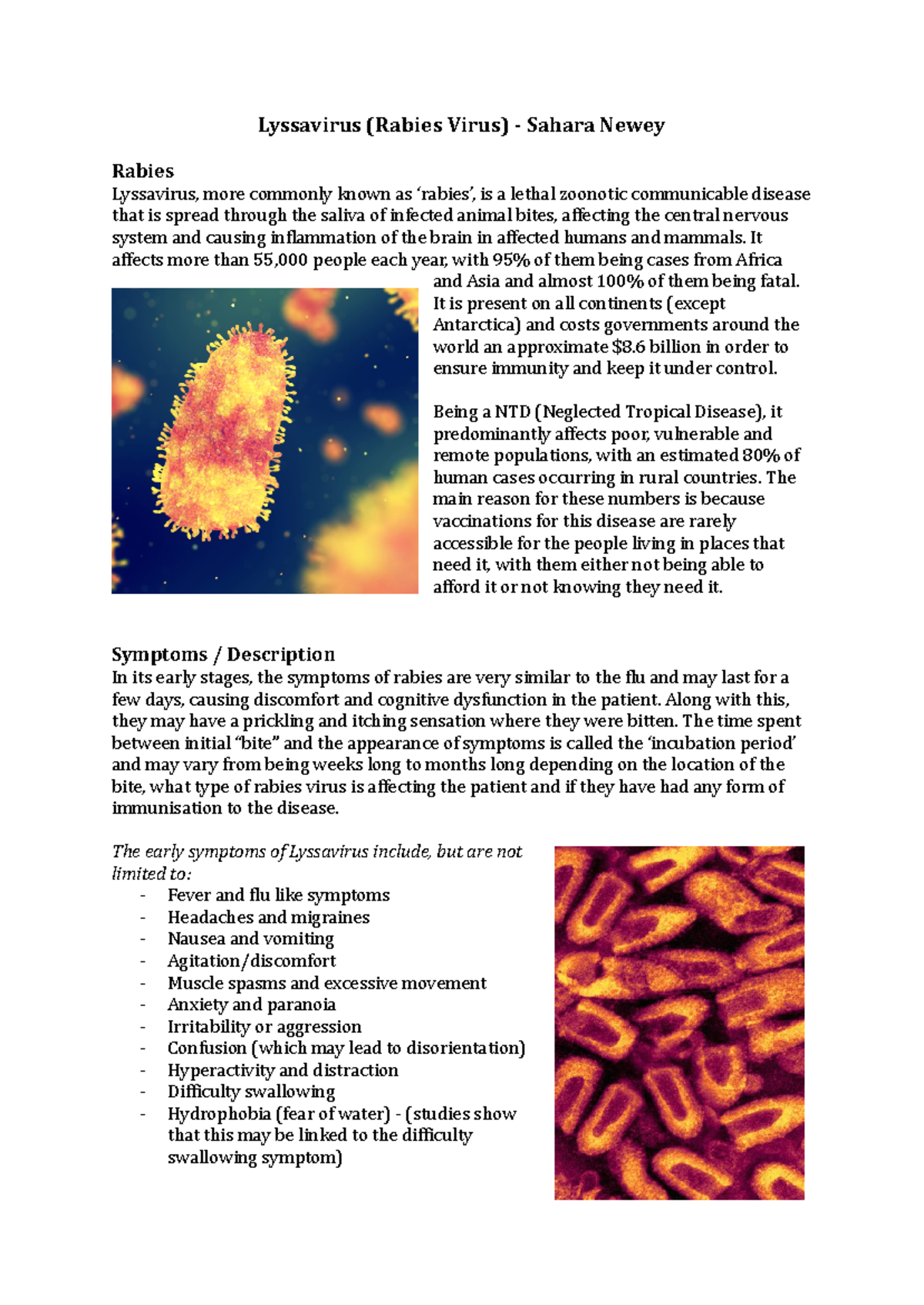 Lyssavirus Report (Biology) - Sahara Newey - Lyssavirus (Rabies Virus ...