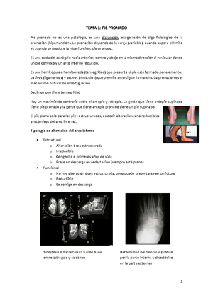3. Patrón capsular-ligamentoso del hombro. Capsulitis vs retracción ...