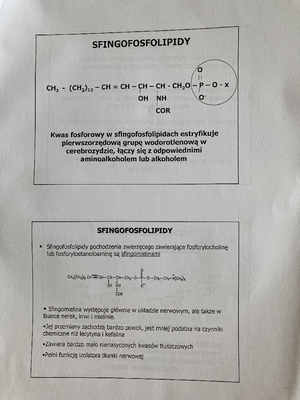 Sacharydy i lipidy - biologia notatki - Sacharydy i lipidy Sacharydy ...