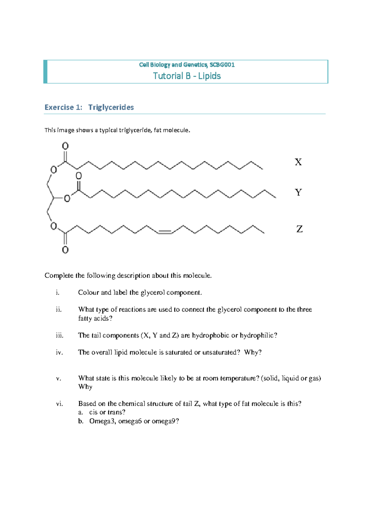 Cell bio and genes week 3 tut b - Cell Biology and Genetics, SCBG 001 ...
