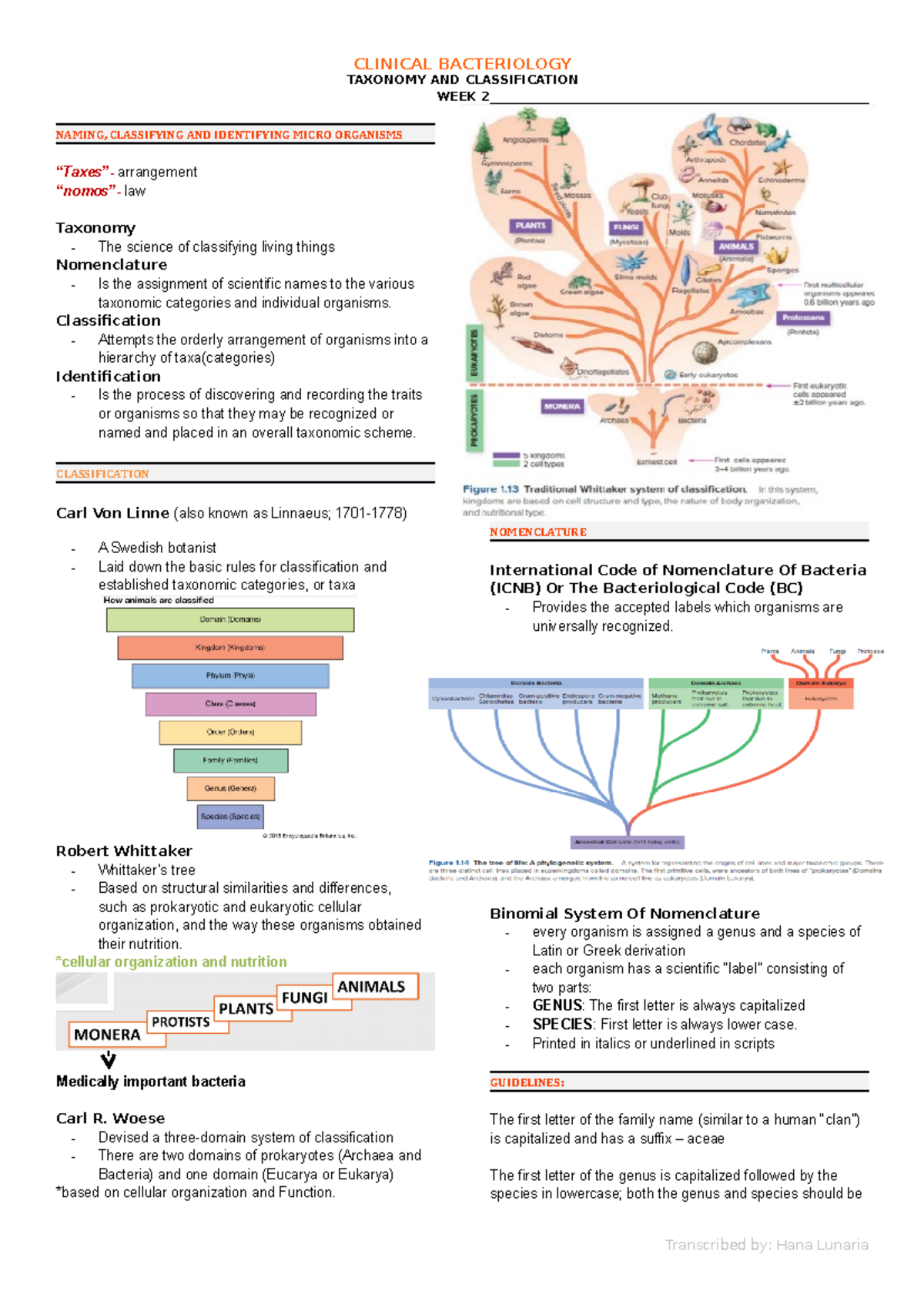 Taxonomy and classification - TAXONOMY AND CLASSIFICATION WEEK 2 NAMING ...