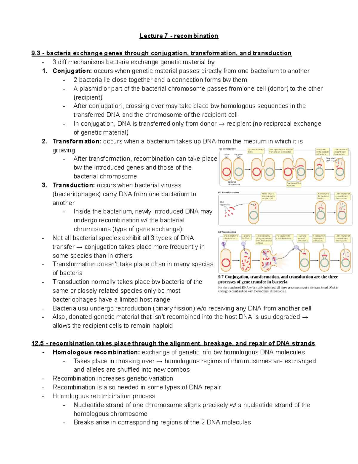 Lecture 7 - lec 7 textbook notes - Lecture 7 - recombination 9 ...