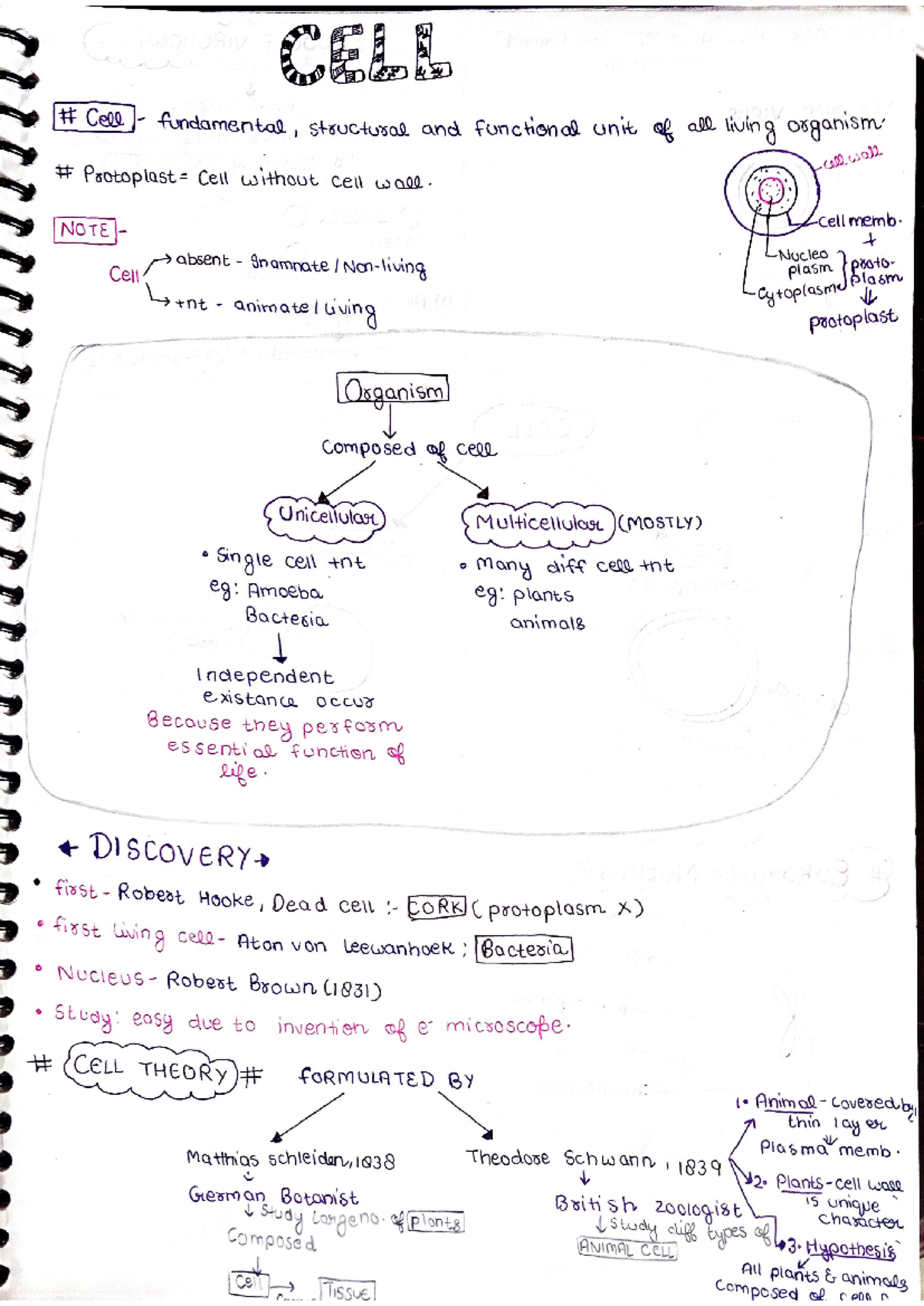Cell overview and cell theory - Cell fundamental, structural and ...