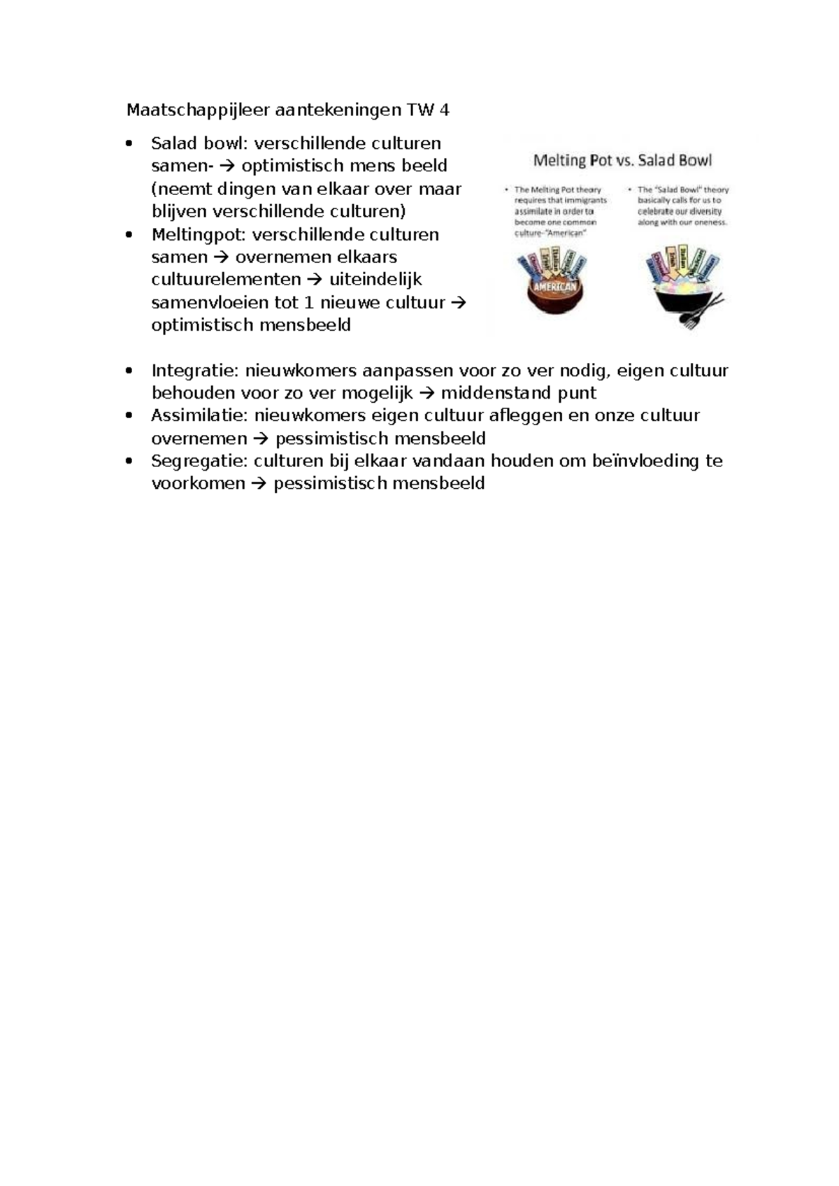 Maatschappij leer TW 4 - pluriforme samenleving - Maatschappijleer aantekeningen TW 4 Salad bowl ...