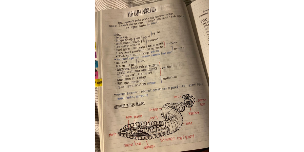 Marinebiology 4 - Marine Biology notes for studying and practice ...
