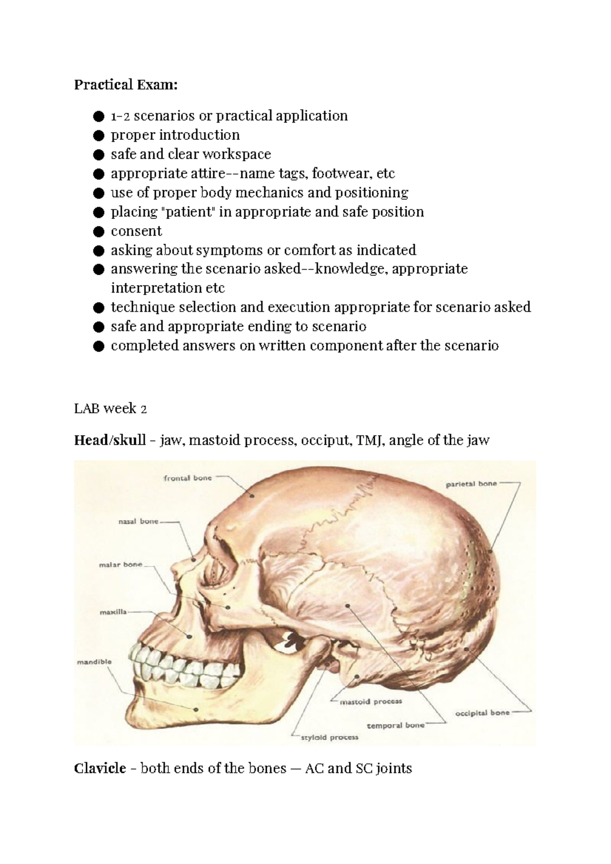 Anatomy/Physiology (Muscular System) - Practical Exam: 1-2 scenarios or ...