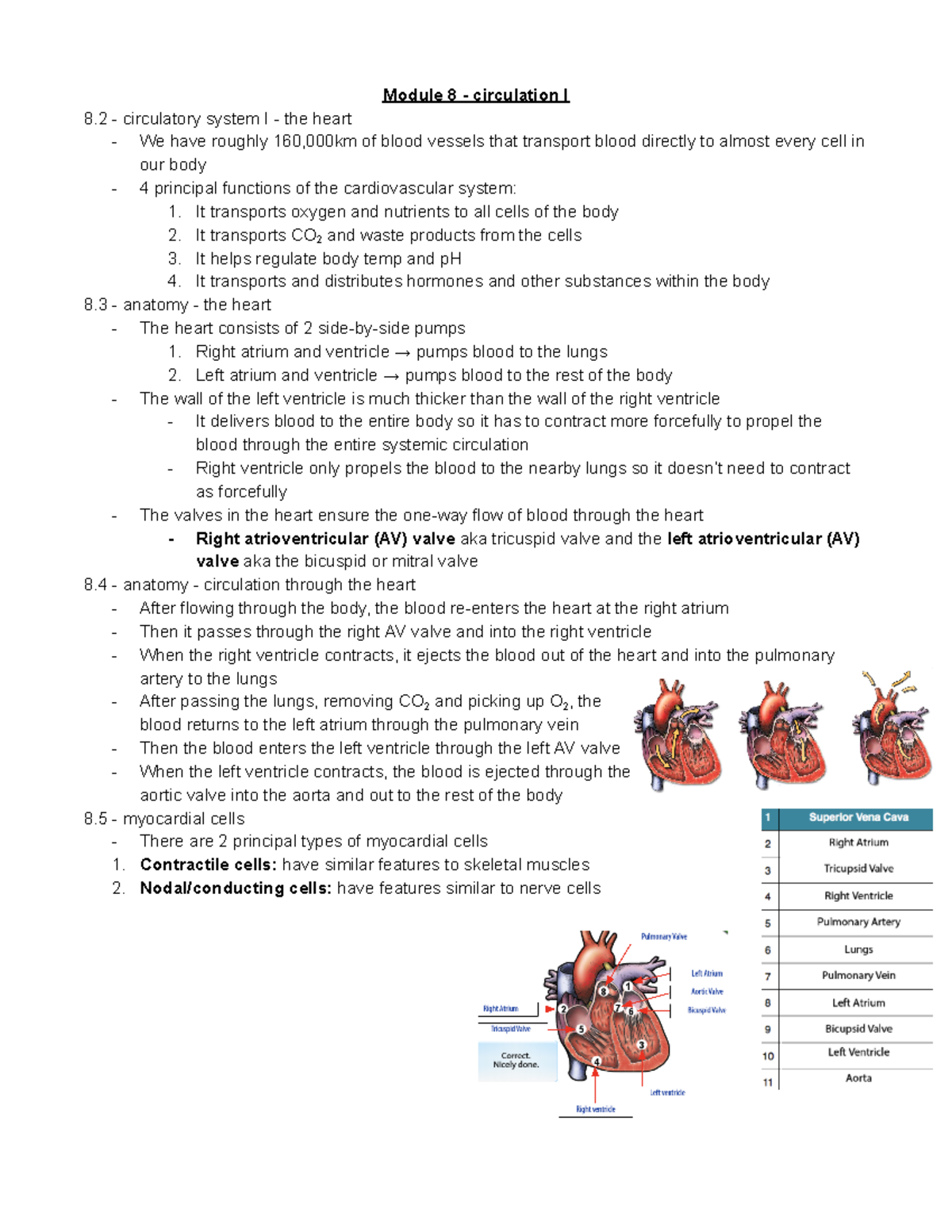 Module 8 - circulation I - it will then pump the blood to the right ...