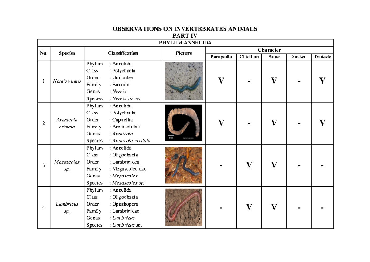 Observations On Invertebrate Animals Part 4 - OBSERVATIONS ON ...