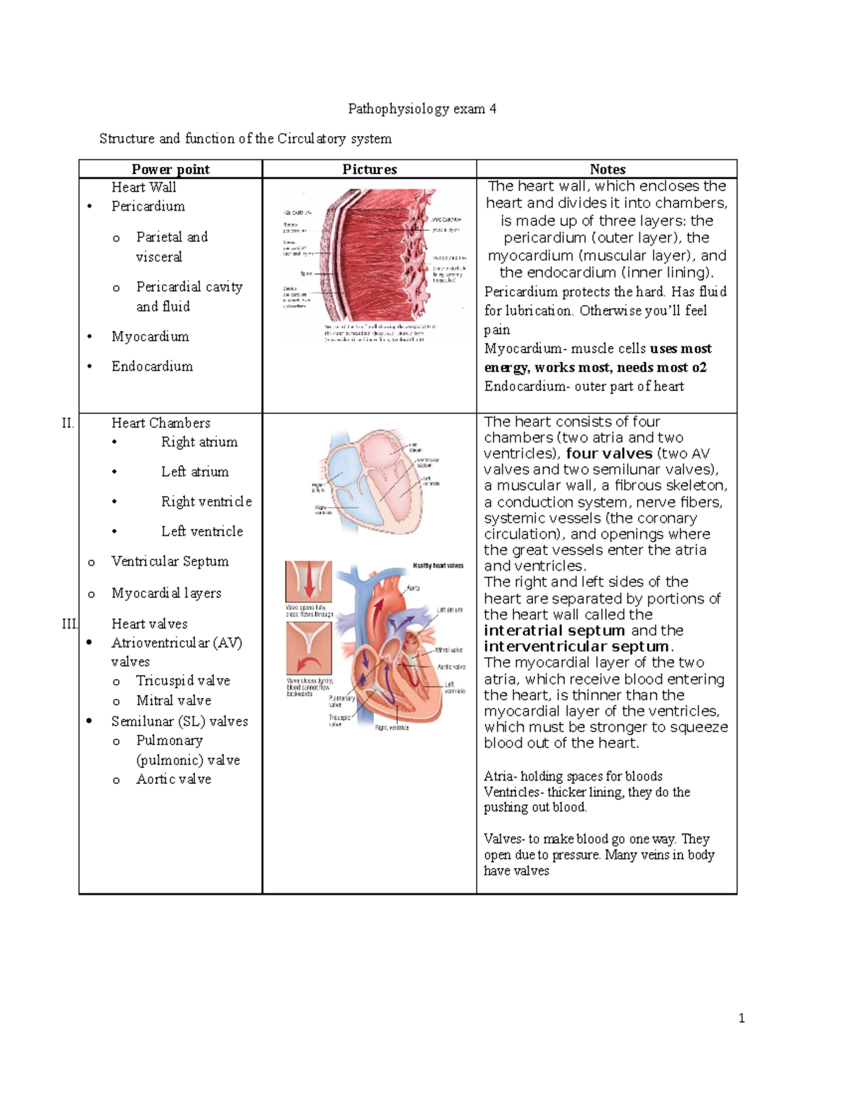 NURS 235 Exam 4 Heart and Circulatory System - Pathophysiology exam 4 ...