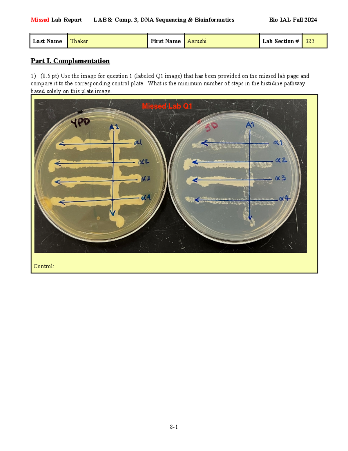 Copy of Missed Lab 8 - Complementation 3, DNA Sequencing ...
