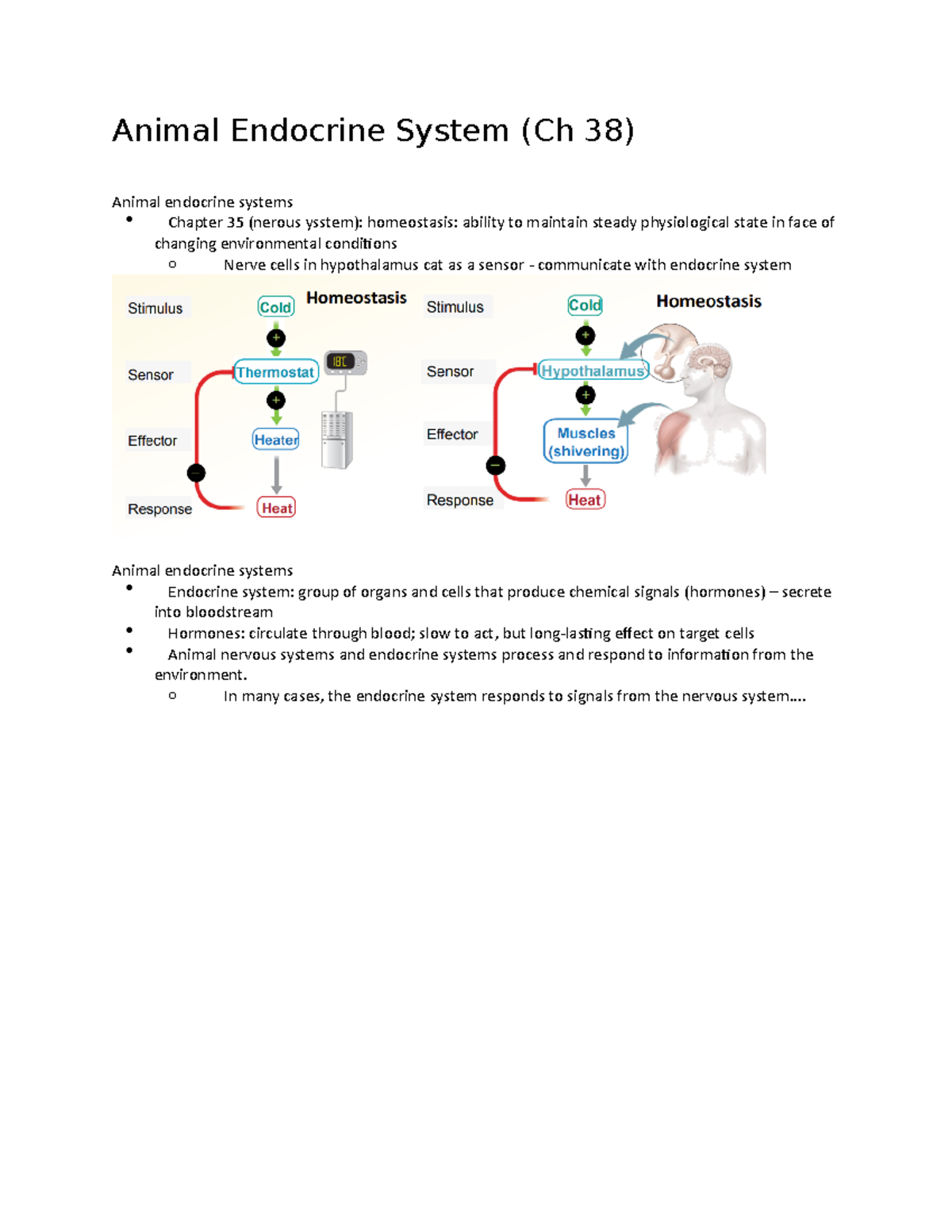 Animal Endocrine System - o In many cases, the endocrine system ...