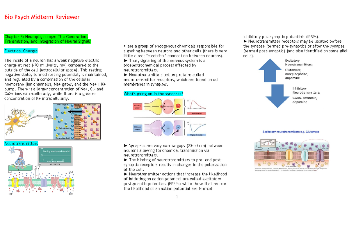 Biopsych Midterm Reviewer - Chapter 3: Neurophysiology: The Generation ...