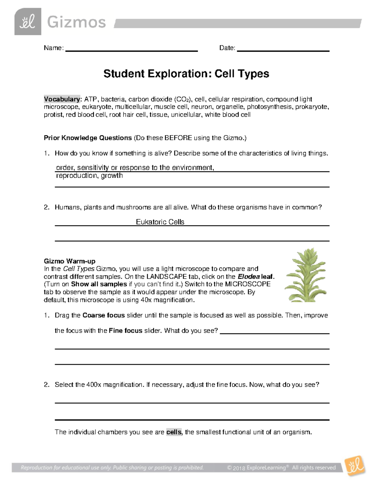 Cell Types SE 2021-10-27 13 36 25 - Name: Date: Student Exploration ...