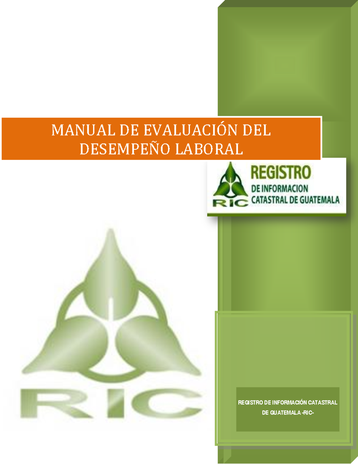 Manual de evaluacion del desempeno ric - REGISTRO DE INFORMACIÓN ...