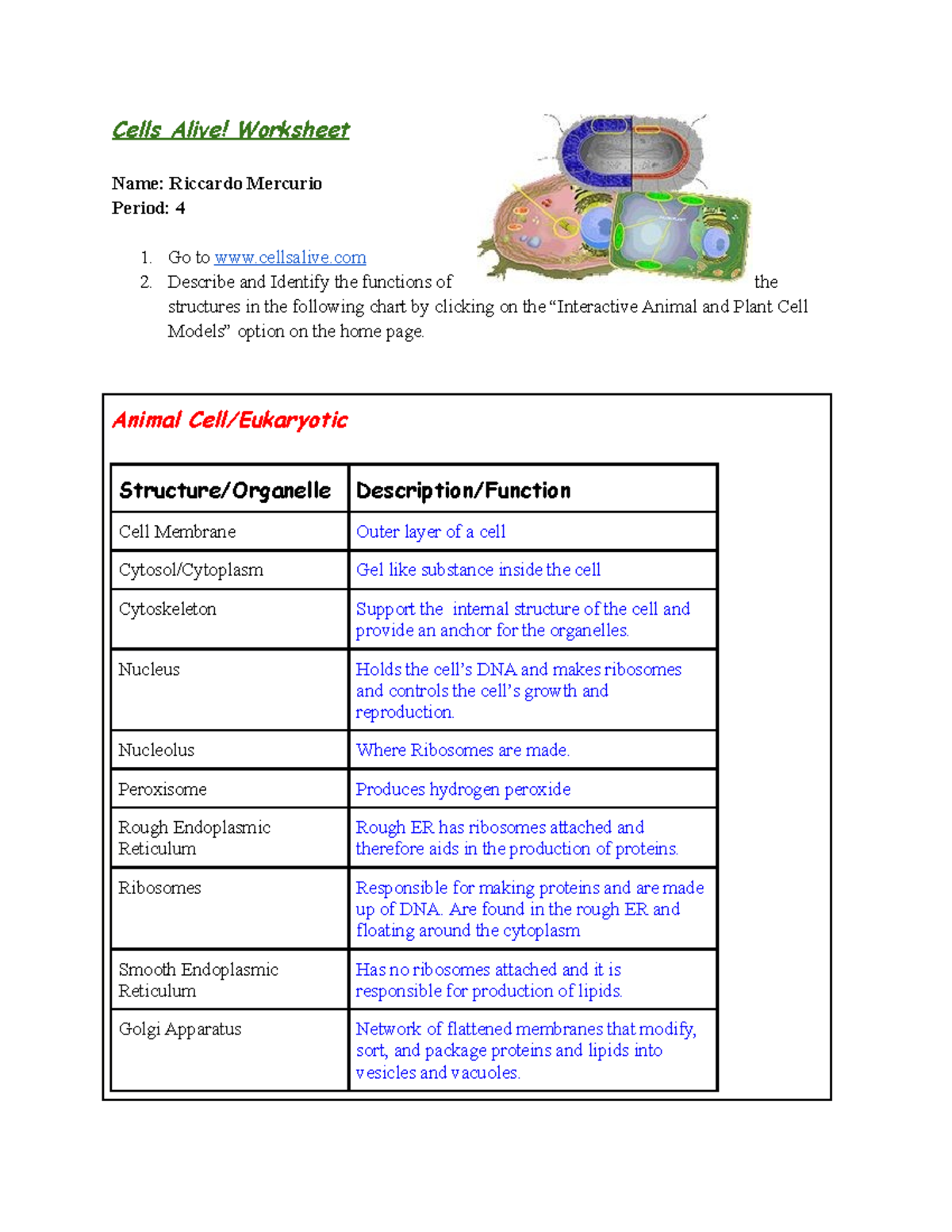 Cells Alive Worksheet - I got a 90 on this assignment - Cells Alive ...