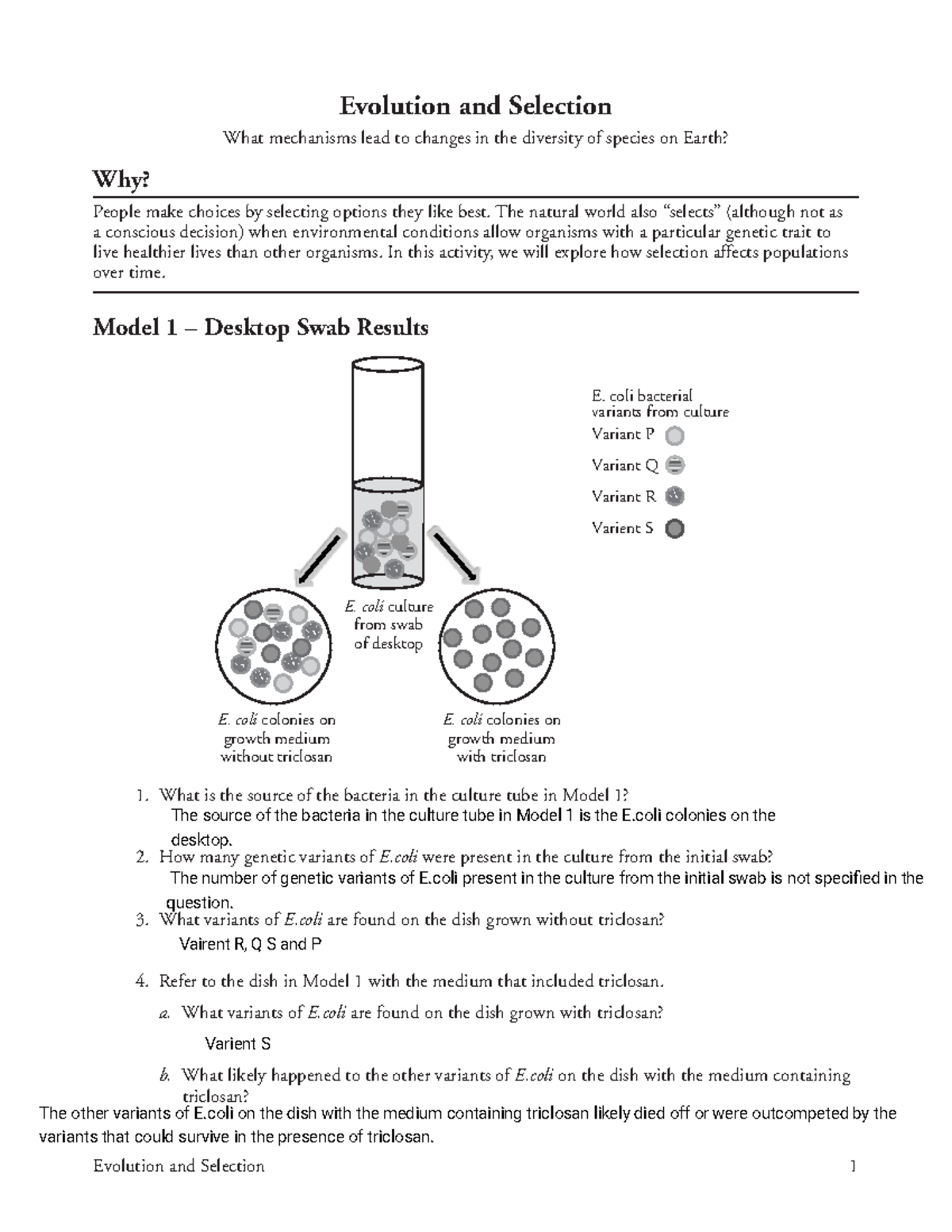 Kami Export - Mickey Briggs - 21 Evolution and Selection-S - Evolution and Selection 1 Evolution ...