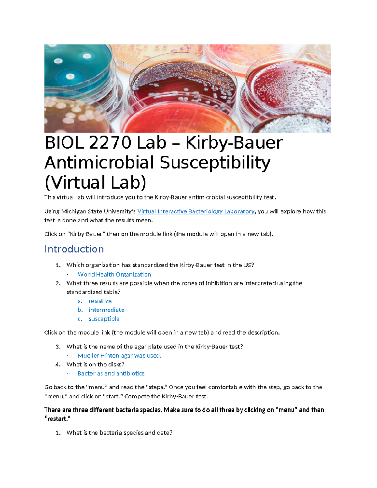 Kirby virtual lab - BIOL 2270 Lab – Kirby-Bauer Antimicrobial ...