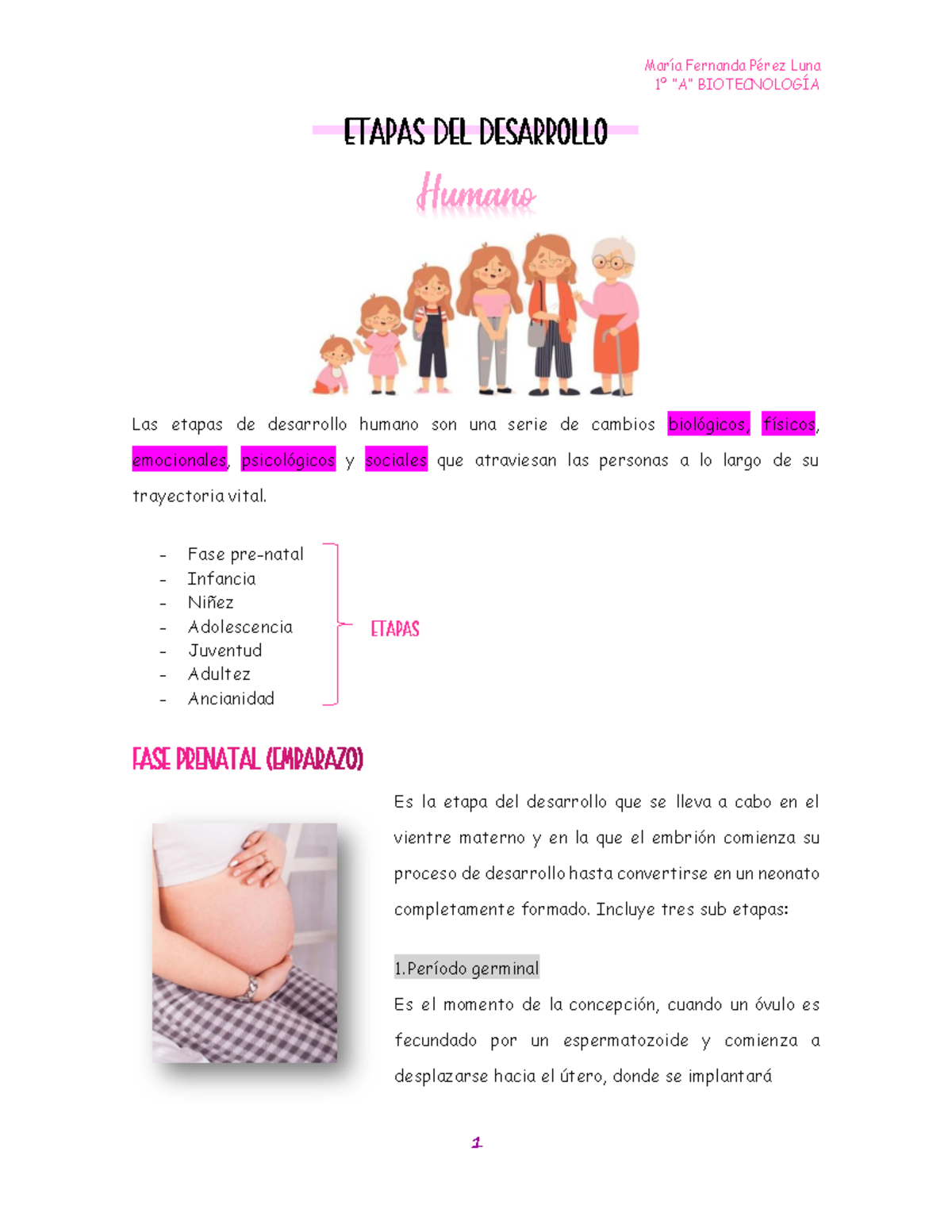 Etapas del desarrollo humano - Anatomia - UAZ - Studocu