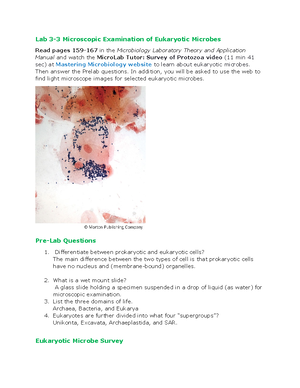 Lab 2-1 Ubiquity of Microrganisms Laboratory Report Sheet - Then answer ...
