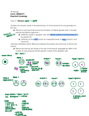AP Biology Standard Deviation Practice worksheet - (a) n (b) x (c) є (d ...