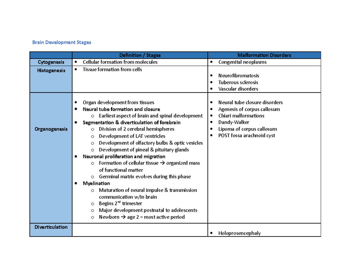 PEDS - Test #2 - Neonatal brain - ULTRASOUND - Brain Development Stages ...